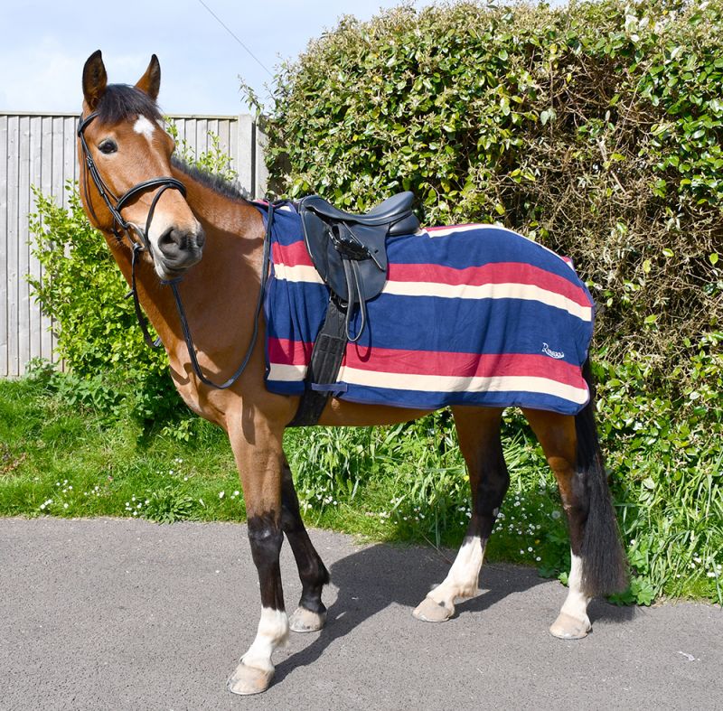 Fleece 3/4 Ride On Rug – Highgate Horseware