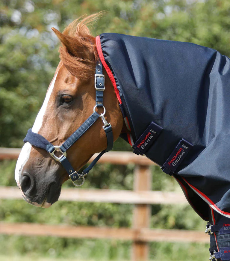 Buster 50g Turnout Rug with Snug-Fit Neck Cover – Highgate Horseware
