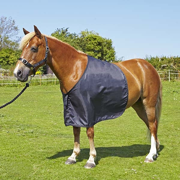 Elico Anti-Rub Bib/Shoulder Guards – Highgate Horseware